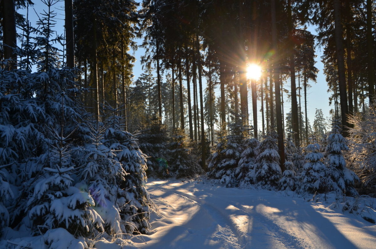 Pastoraler Raum Börde-Egge – Willebadessen – Peckelsheim – Borgentreich